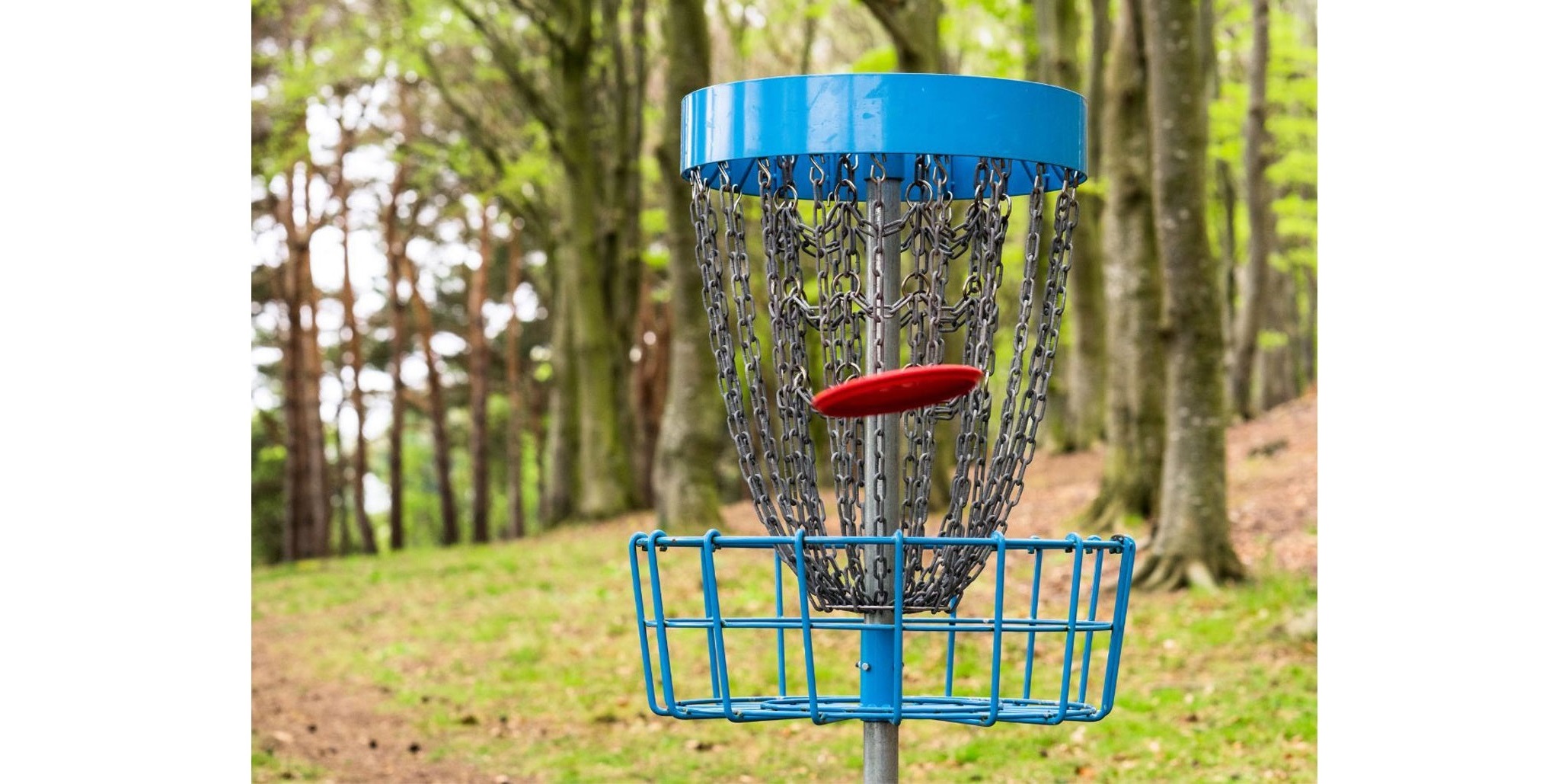 TDGA Taiwan Disc Golf Association 台灣飛盤高爾夫協會 www.discgolf.tw